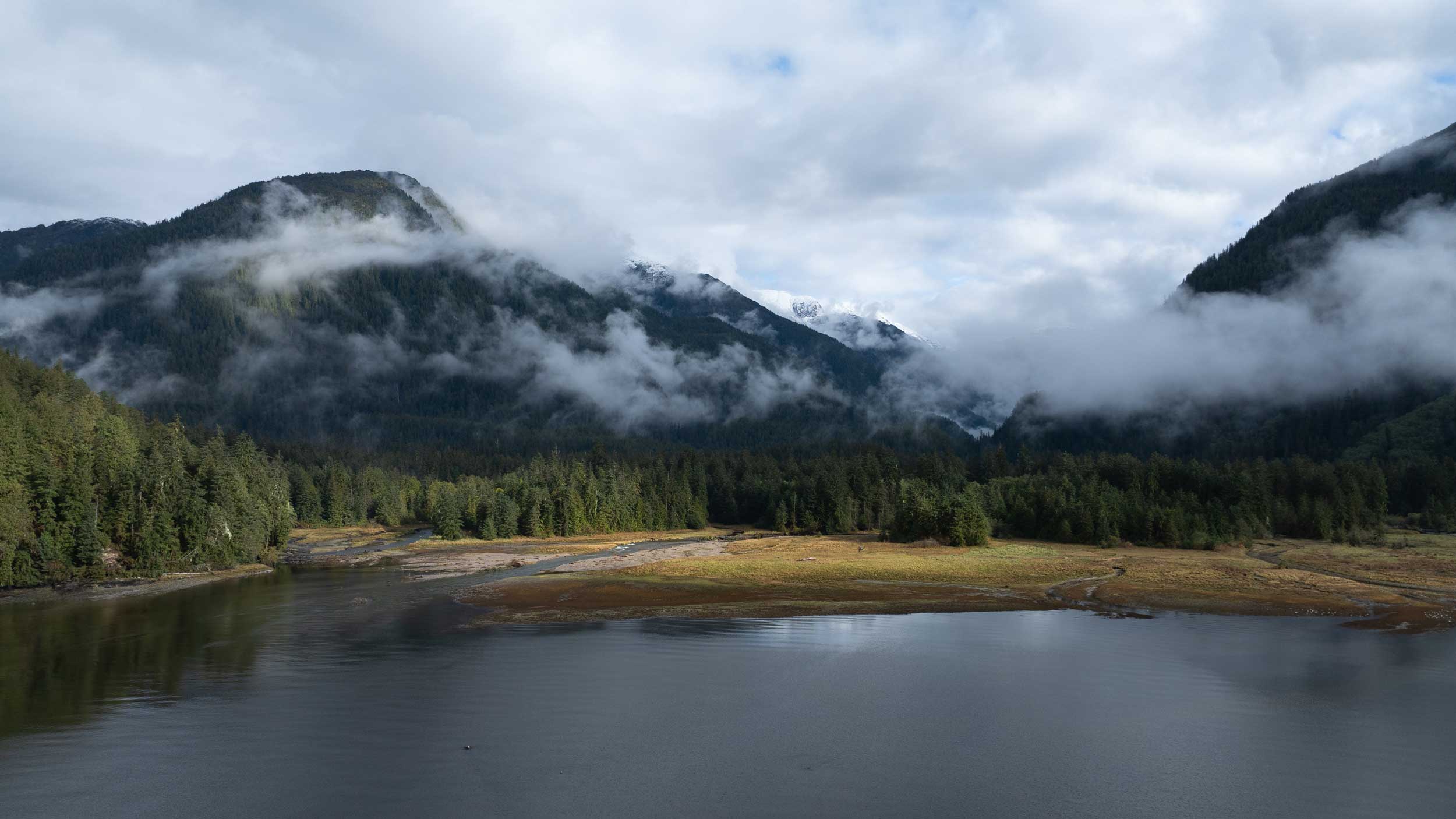 The Salmon Forest Project Film